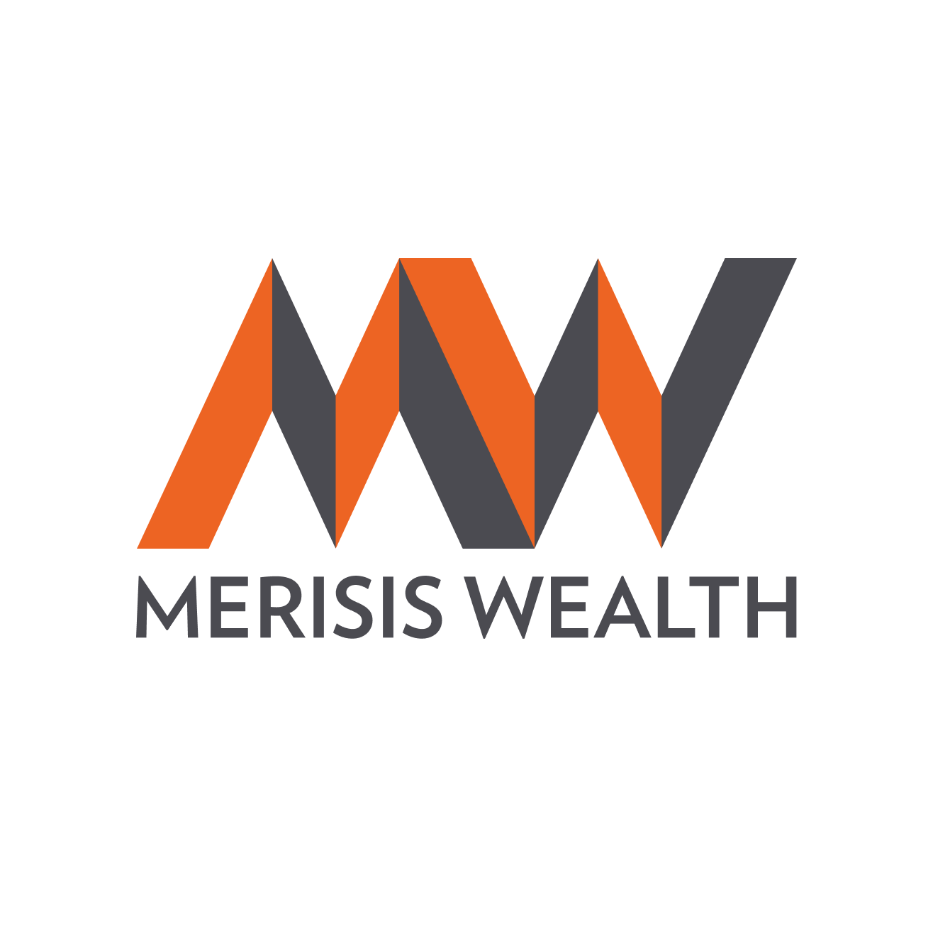 About Merisis Group